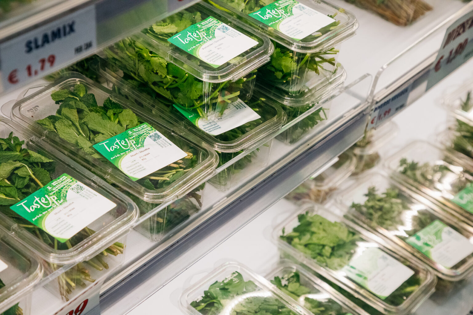 Fieret's Vishandel Kaai Sluis verse vis, groenten, fruit, planten en ...